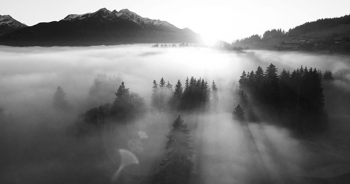 Enhancing Access to International Arbitration: The Role of Third-Party ...